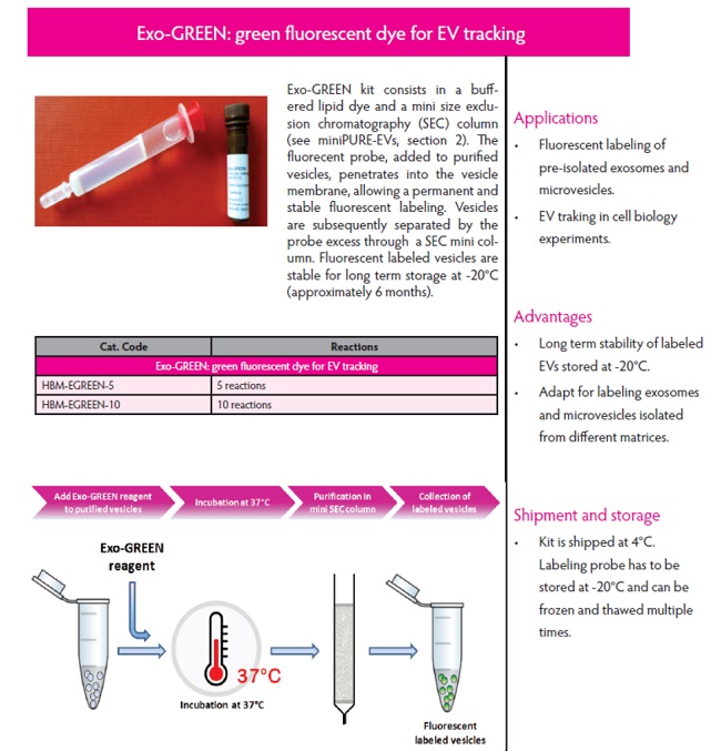 · Exo-GREEN – green fluorescent dye for EV tracking